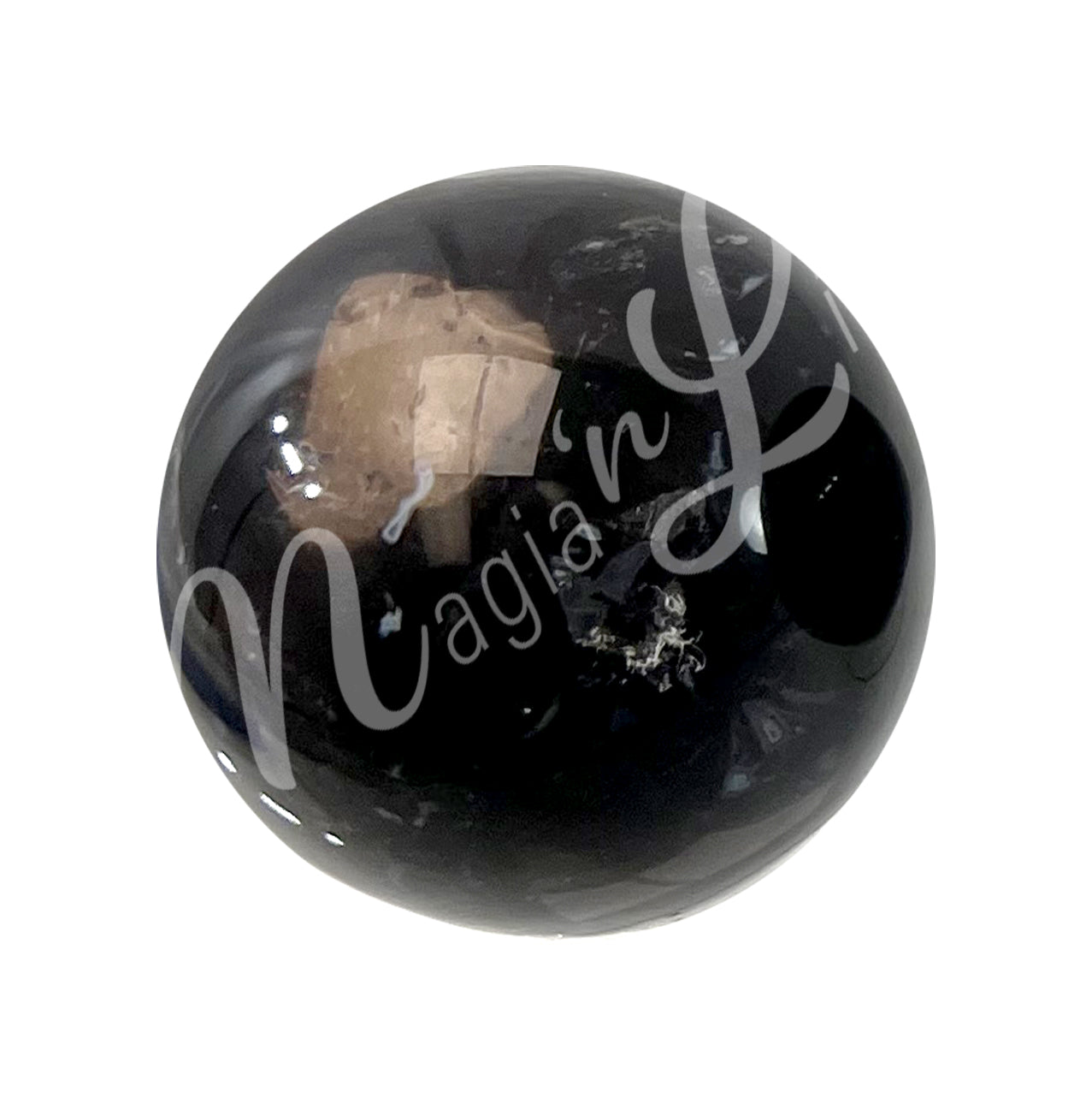Sphere Palm Root Fossil – Cha Cha Gifts